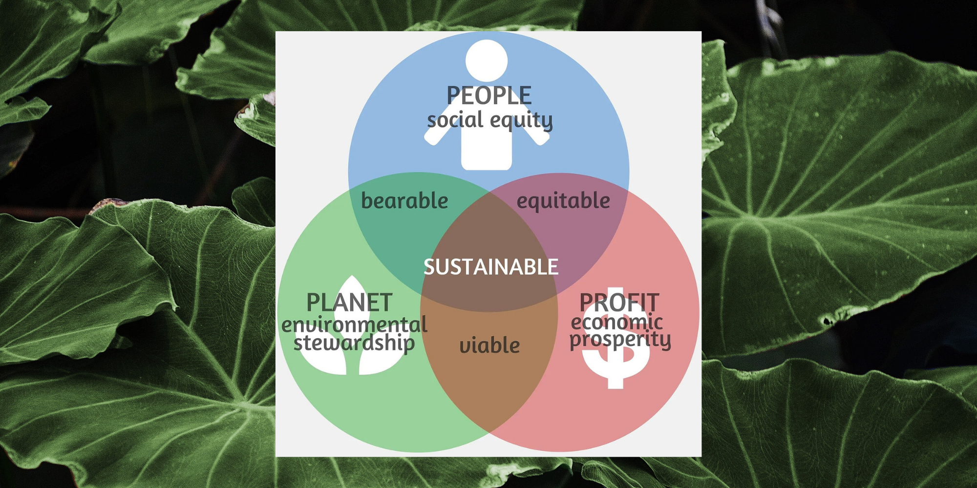 What is a Triple Bottom Line Business? - Beautyologie