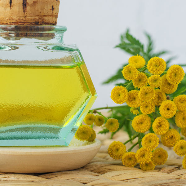 Blue Tansy Oil Benefits | Skincare Products | Anti-Aging